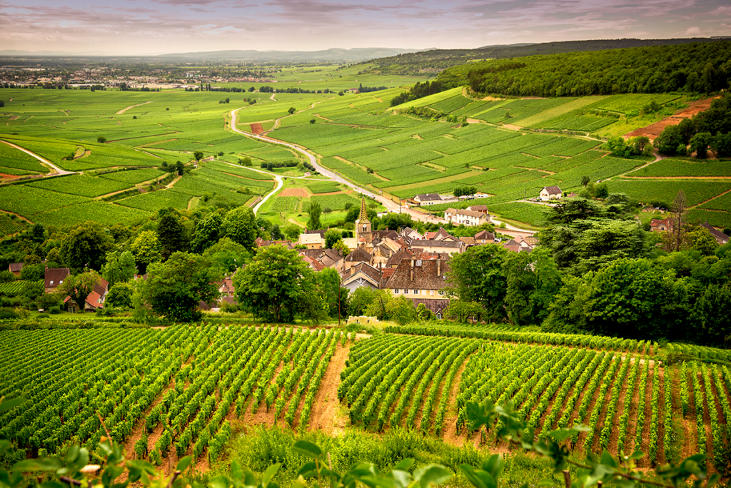 The Ultimate Guide To Burgundy Wine | Wine Affairs