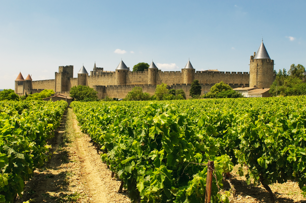 Our Guide To Languedoc Roussillon Wine | Wine Affairs