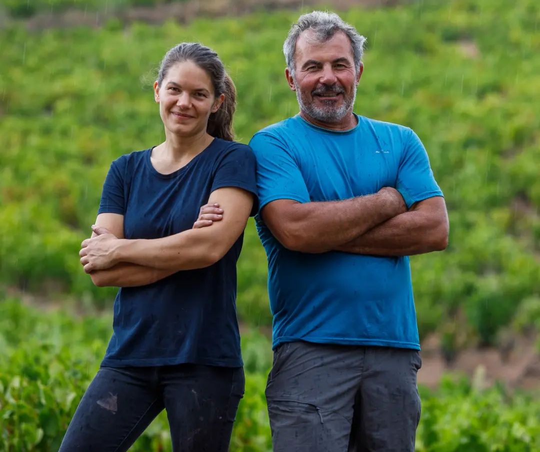 Buy Eco-Friendly Wine online | Domaine Matray & Filles | Wine Affairs